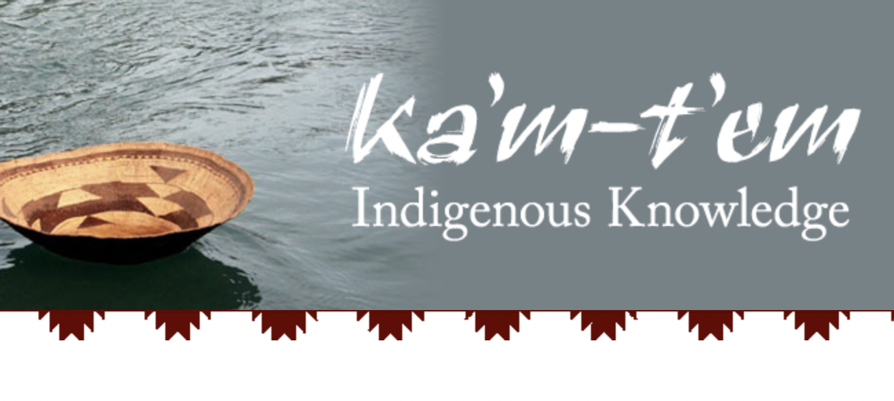 Ka’m-t’em: The Impact of ACEs and Toxic Stress on Indigenous ...