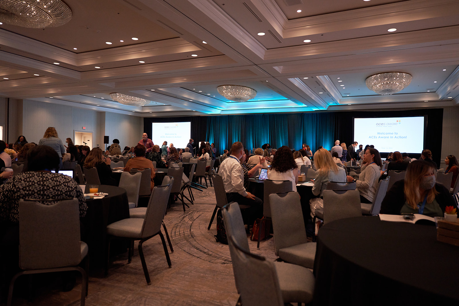 ACEs Aware In Action – Highlights from the First-Ever Grantee ...